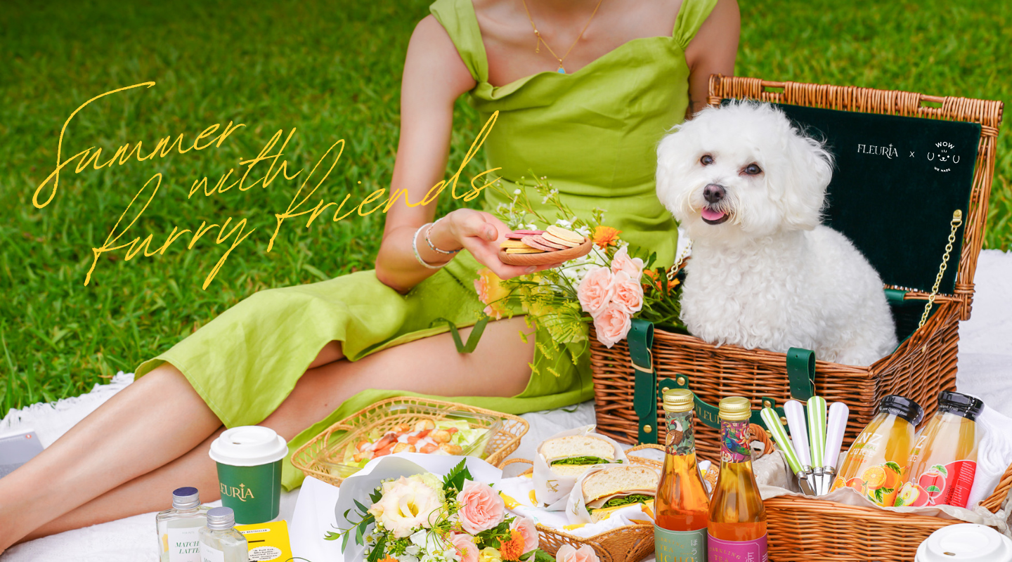 Summer Picnic | Pet Picnic Basket and more