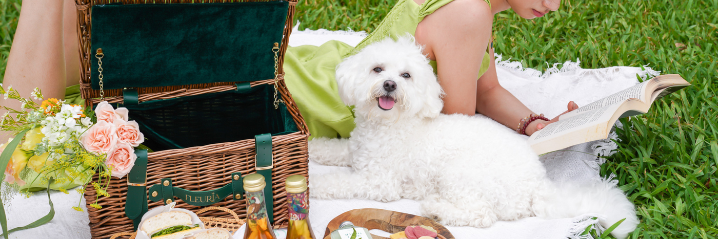 Summer Picnic | Pet Picnic Basket and more